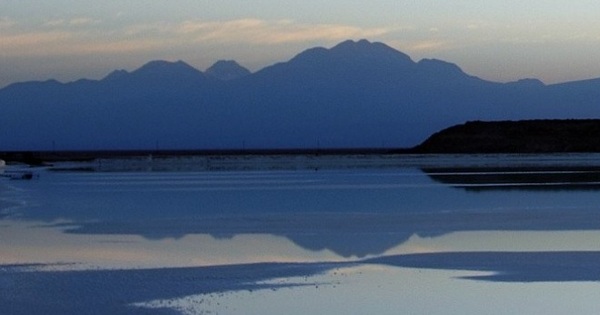 Albemarle post 60% increase in sales as lithium prices rally