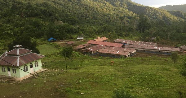 Awak Mas steadily growing