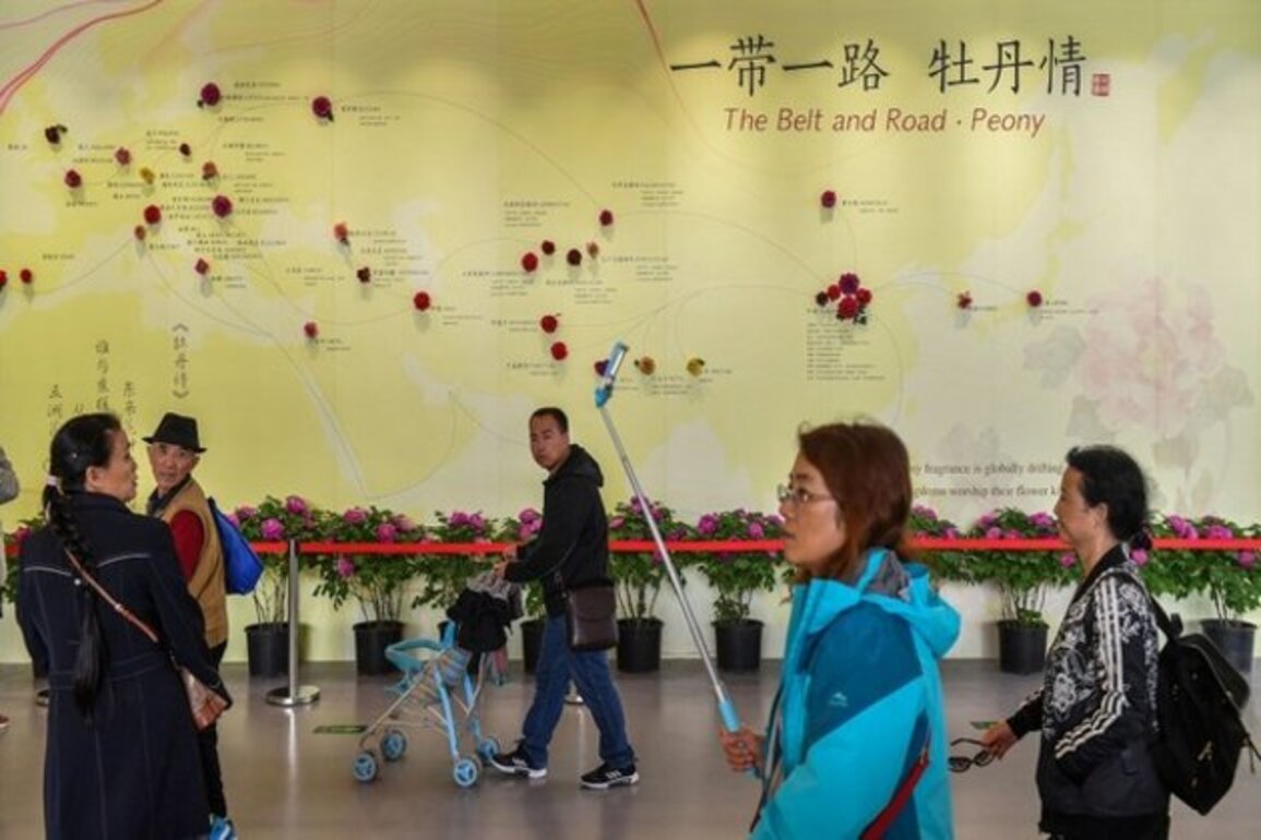 China is increasingly facing 'BRI backlash' across the world