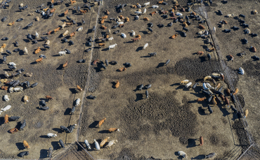 G20: £5.7tr investor group urges richest nations to ditch climate ...