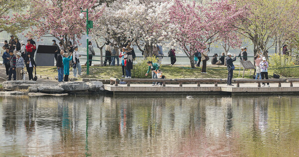 CHINA-BEIJING-SPRING-PHOTOGRAPHY ENTHUSIASTS(CN)