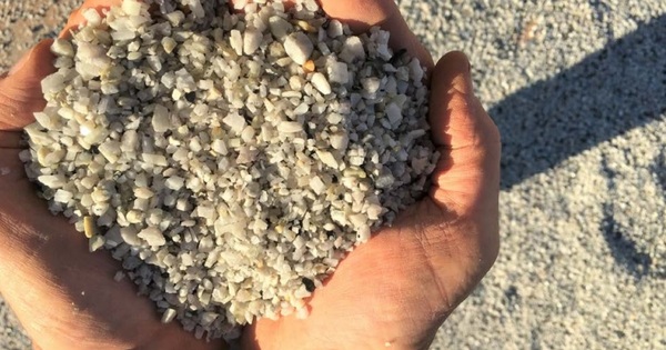 Lithium production starts at Bald Hill