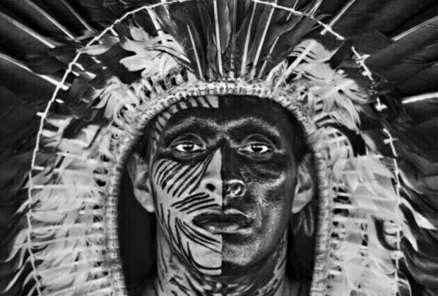 Witness the majesty of the Amazon rainforest through the lens of world ...