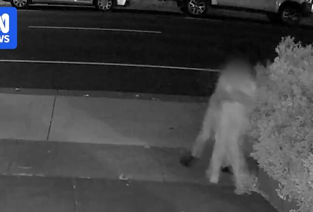 Police appeal to public to identify young male who attempted to kidnap ...