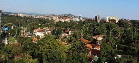 New Vision-Uganda news