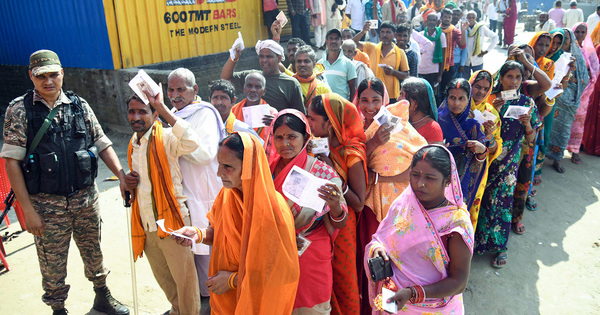 Bihar elections: Kutumba assembly seat to witness close contest between ...
