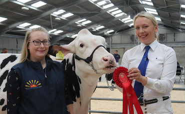 A passion for Holstein's takes young farmer to the top | Farm News ...