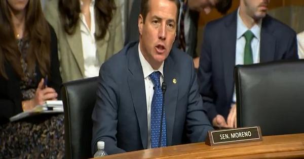 US Senator proposes ending dual citizenship citing "divided loyalties"