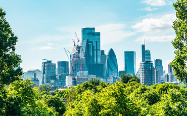 'It's Now for Nature': Campaign shares first approved corporate nature ...