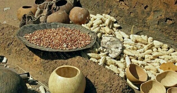 Africa's traditional fermented foods - and why we should keep consuming ...