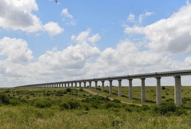 (Hello Africa) Chinese ingenuity, African ecology: how a railway ...