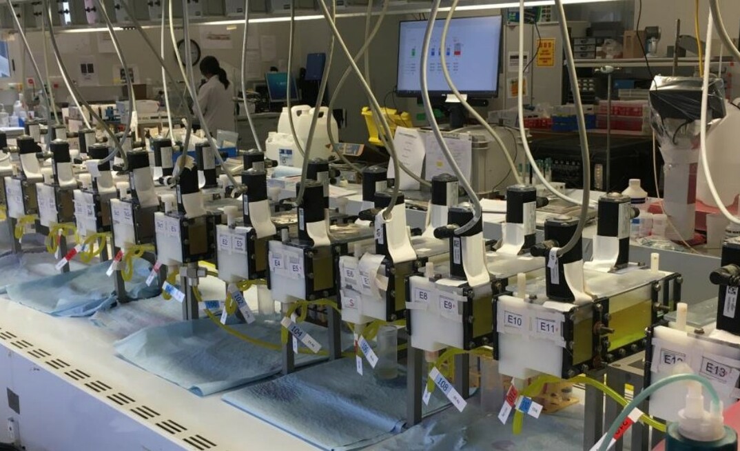 Arafura finishes pilot program