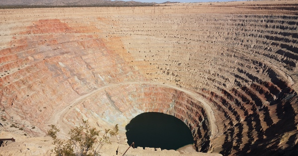 Arizona Sonoran doubles Cactus potential