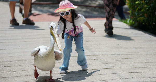 MALAYSIA-KUALA LUMPUR-BIRD PARK-LEISURE TIME