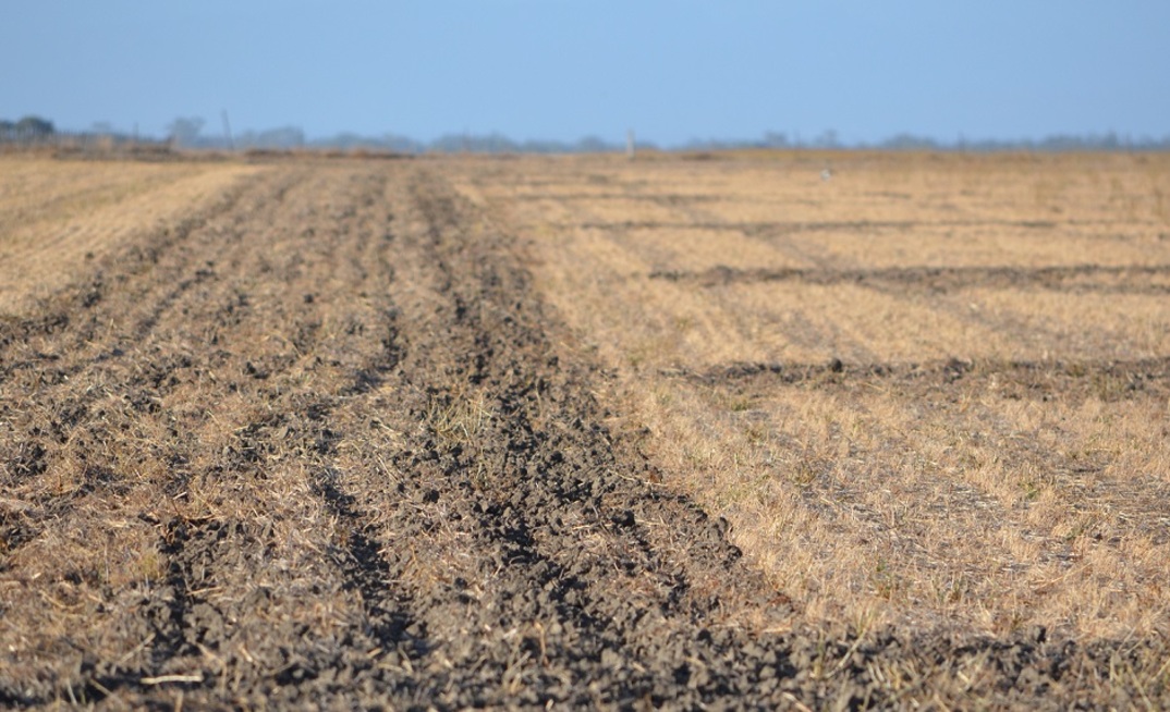 Think of the soil as summer approaches
