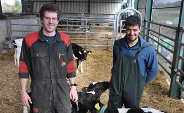 Boosting calf health: The powerful impact of dam vaccination on dairy ...