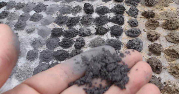Quantum's graphite bid ends with a whimper