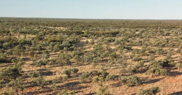 Verdant secures licence to mine Ammaroo phosphate