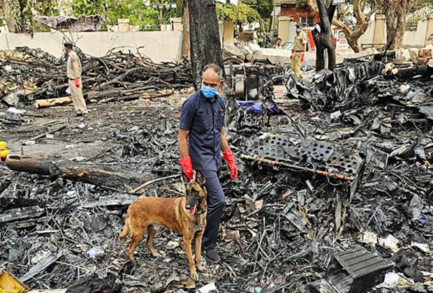 Air India plane crash: 144 DNA samples have been matched, says Gujarat ...