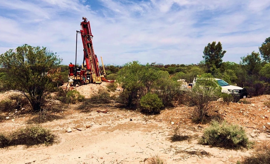 Gorilla grows Comet Vale's gold