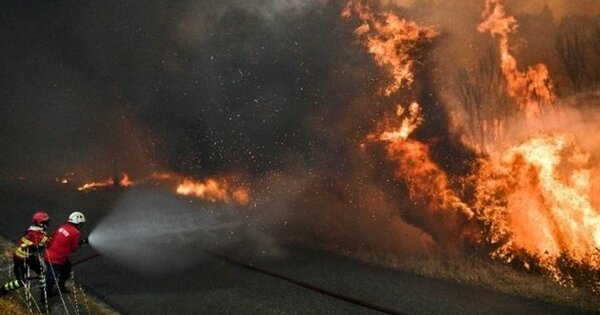 Madeira Wildfire Brought under Control after 11 Days