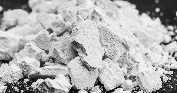 The bacteria that turns CO2 to rock