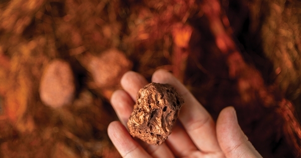 Ark Mines seeks processing route for Sandy Mitchell ore