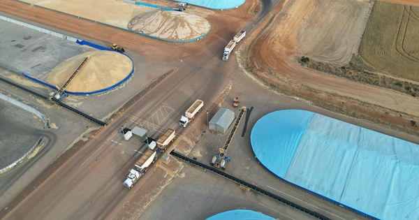 CBH receives a record-breaking 620,000 tonnes