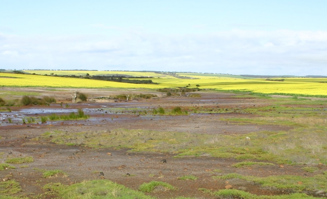 New App to help combat salinity in WA