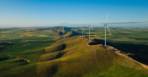 Neoen switches on SA's biggest wind farm