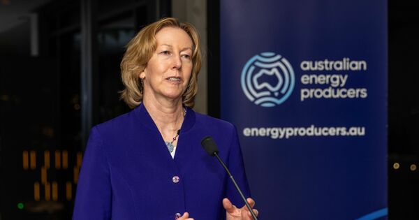 Woodside Energy CEO Criticises Federal Government's Future Gas Strategy