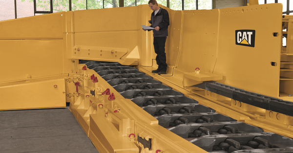 Kotinskaya orders Cat AFC