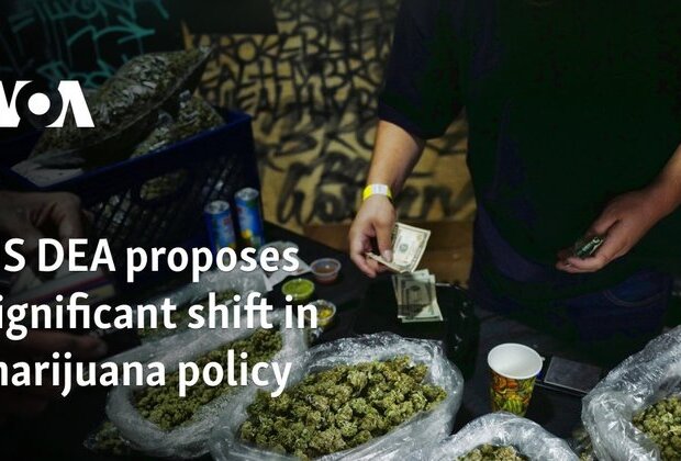 US DEA proposes significant shift in marijuana policy