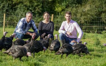 The most wonderful time of the year for Devon family turkey farm | Farm ...