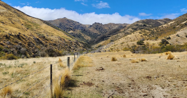 MACA Interquip to design Santana's Bendigo-Ophir gold plant