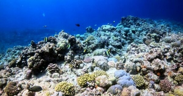 Chinese researchers build autonomous underwater vehicle for deep-sea ...