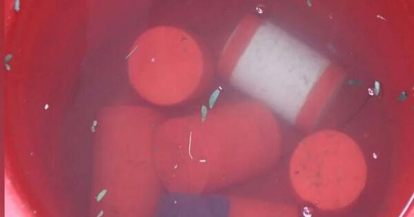 Mysterious crude bomb-like objects recovered at Kushtia's Islamic ...