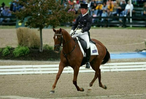 Horse whipping is painful and cruel. The latest incident shows why it ...