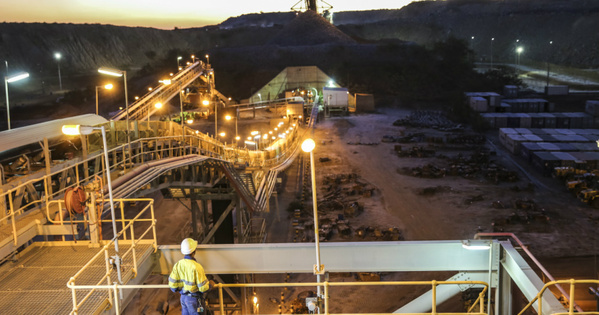 Acacia sees doré opening