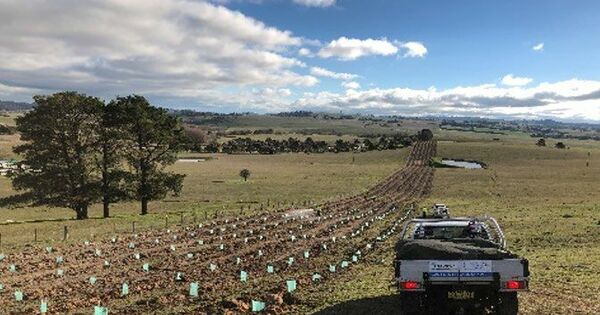 Regis launches McPhillamys legal action