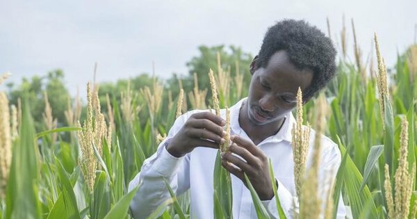 Rwandan student's ambition to advance African agriculture inspired by ...