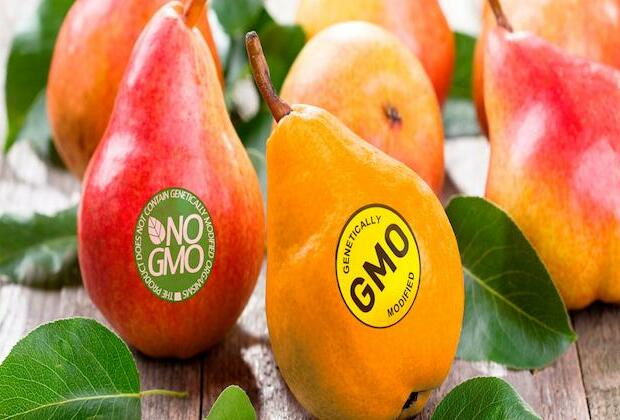 New US labeling of genetically modified foods comes into force