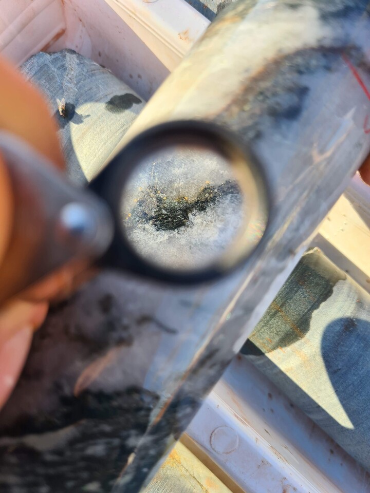 Dreadnought looks to Metzke's Find for more gold potential