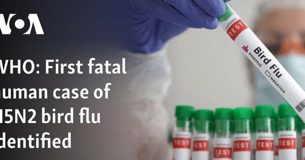 WHO: First fatal human case of H5N2 bird flu identified