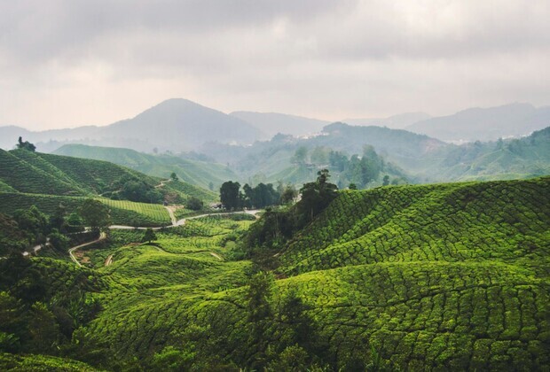 Indian Travellers Turn to Offbeat Domestic Destinations Amid Global ...