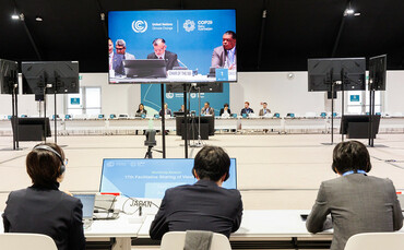 COP29: UK unveils new carbon market principles, as climate finance ...