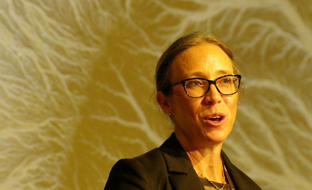 Michelle Ash new head of Dassault Geovia