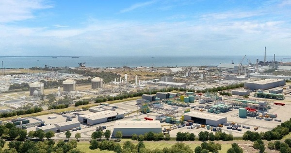 IGO and Wyloo secure land for nickel plant