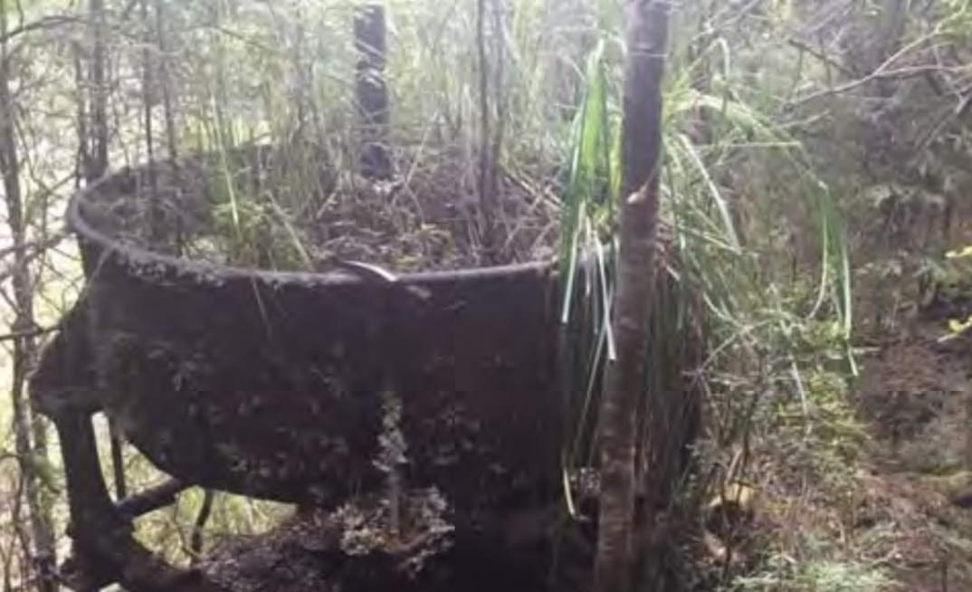 Elementos fascinated by thick fluorite discovery