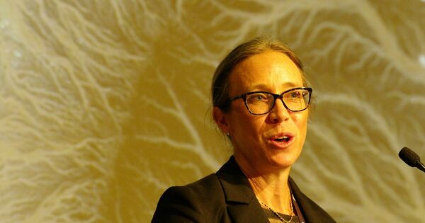 Michelle Ash new head of Dassault Geovia